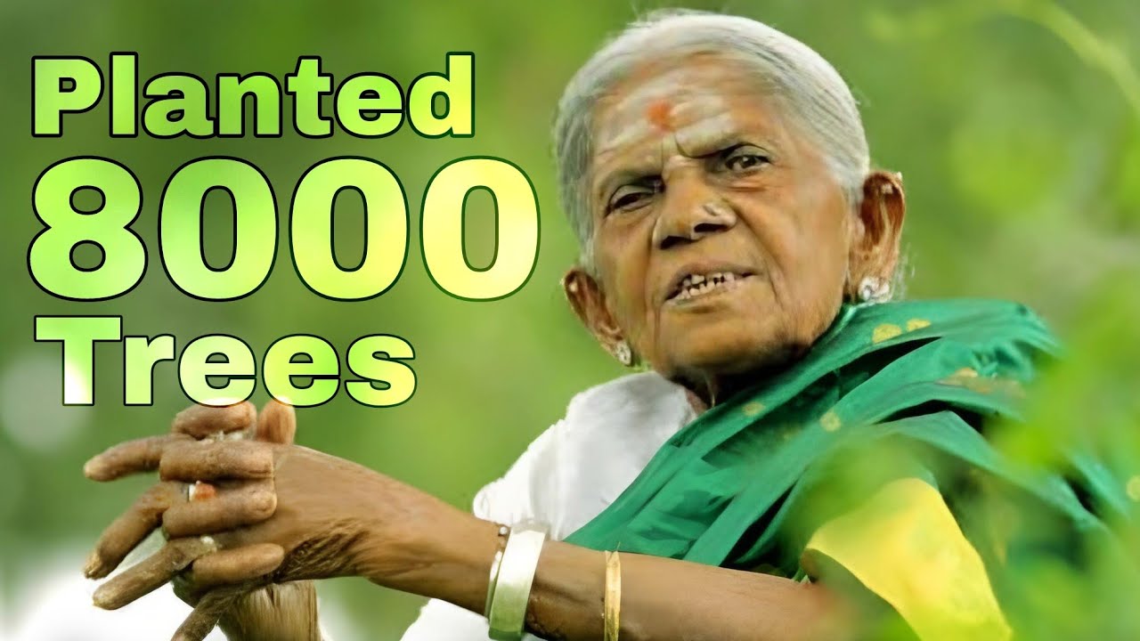 Saalumarada Thimmakka Taken Care 🤱 of More Than 8000 Trees 🌳 # ...