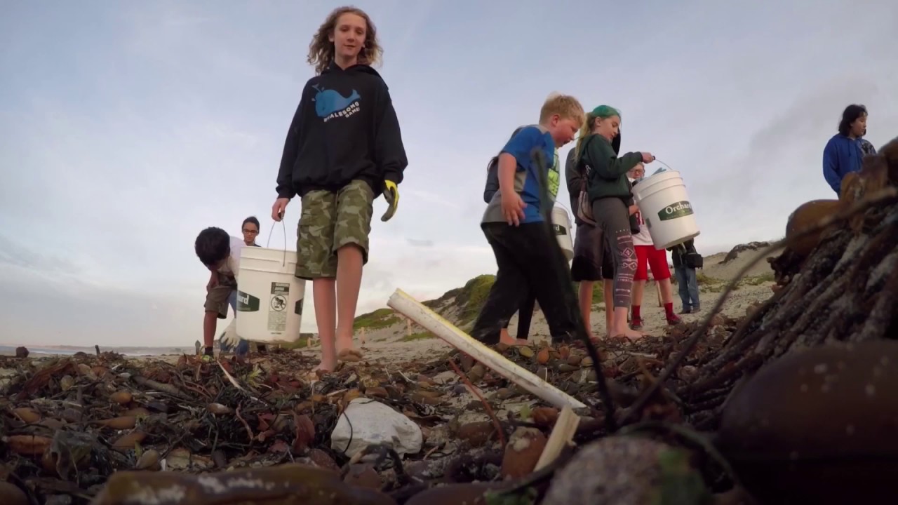 [GREEN FILM TAKES ON STRAW WARS] - YouTube