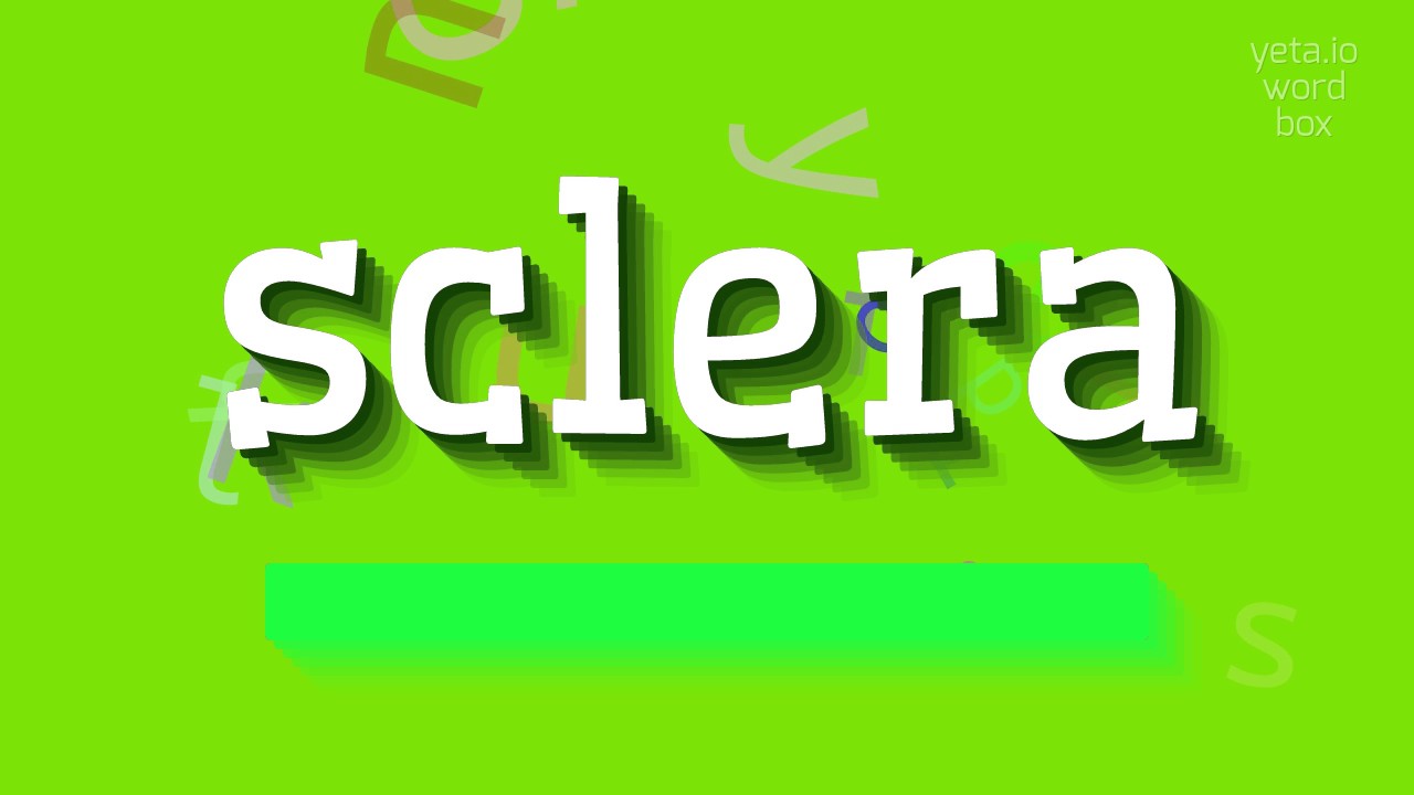 How to say "sclera"! (High Quality Voices) - YouTube