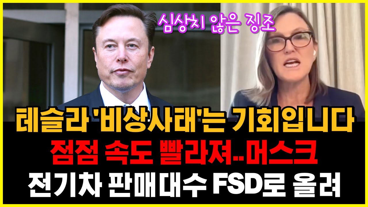 테슬라 비상사태는 기회입니다캐시우드 심상치 않은 징조 점점 속도 빨라져머스크 전기차 판매대수 Fsd로 올린다