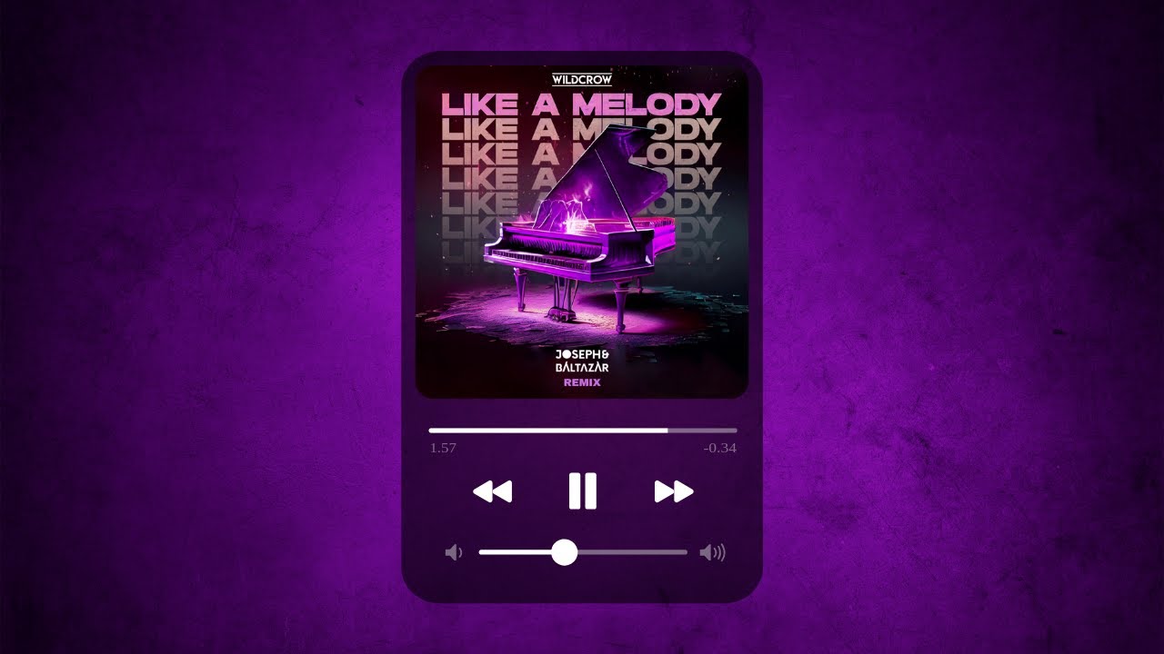WILDCROW - LIKE A MELODY(JOSEPH & BALTAZAR REMIX) - YouTube