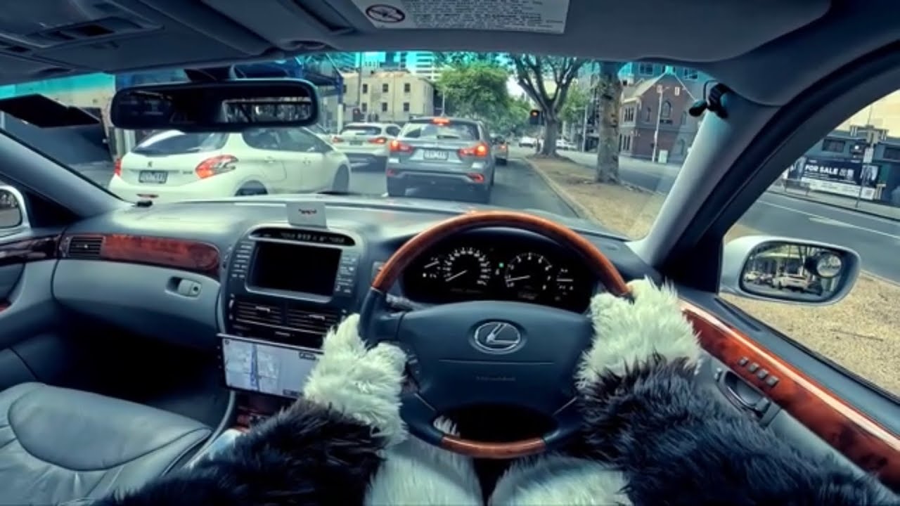 Furry Chauffeur POV ASMR #2 | Driving 3.5 hrs in Fursuit Through ...