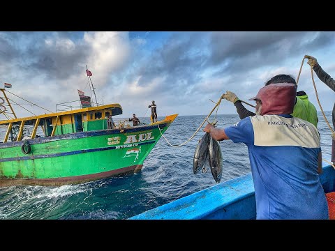 OMG😳 On The Ninth Day We Stayed In The Deep Sea And Caught A Lot Of Fishes | Day-09 | S06-EP09