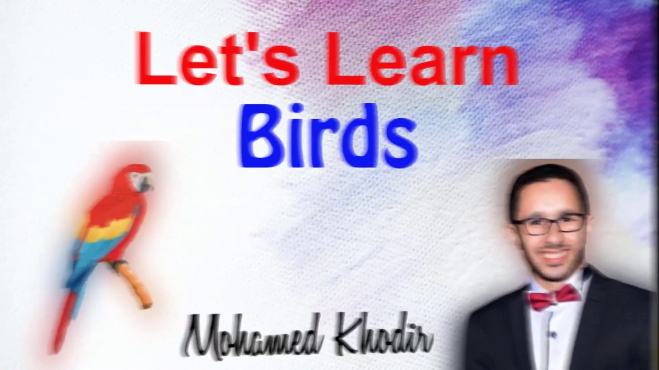 Let's Learn Birds | Parrot | Speech Language Therapy at Home | First ...
