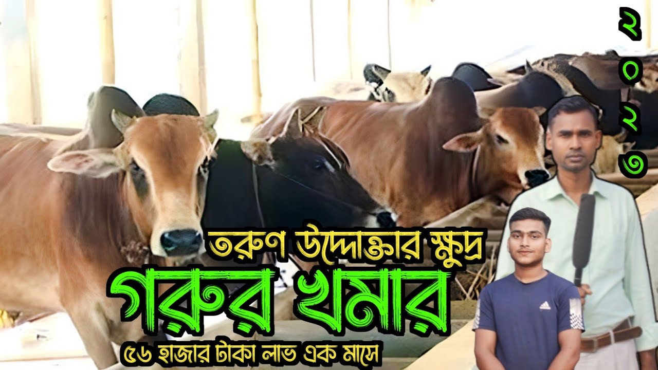 গরুর খামার | তরুন উদ্দোক্তার Khamar 2023 | Young entrepreneur cow farm ...