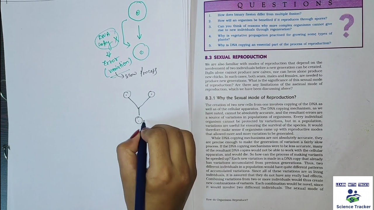 🔴 Cl10 Ch8 Sexual Reproduction Why The Sexual Mode Of