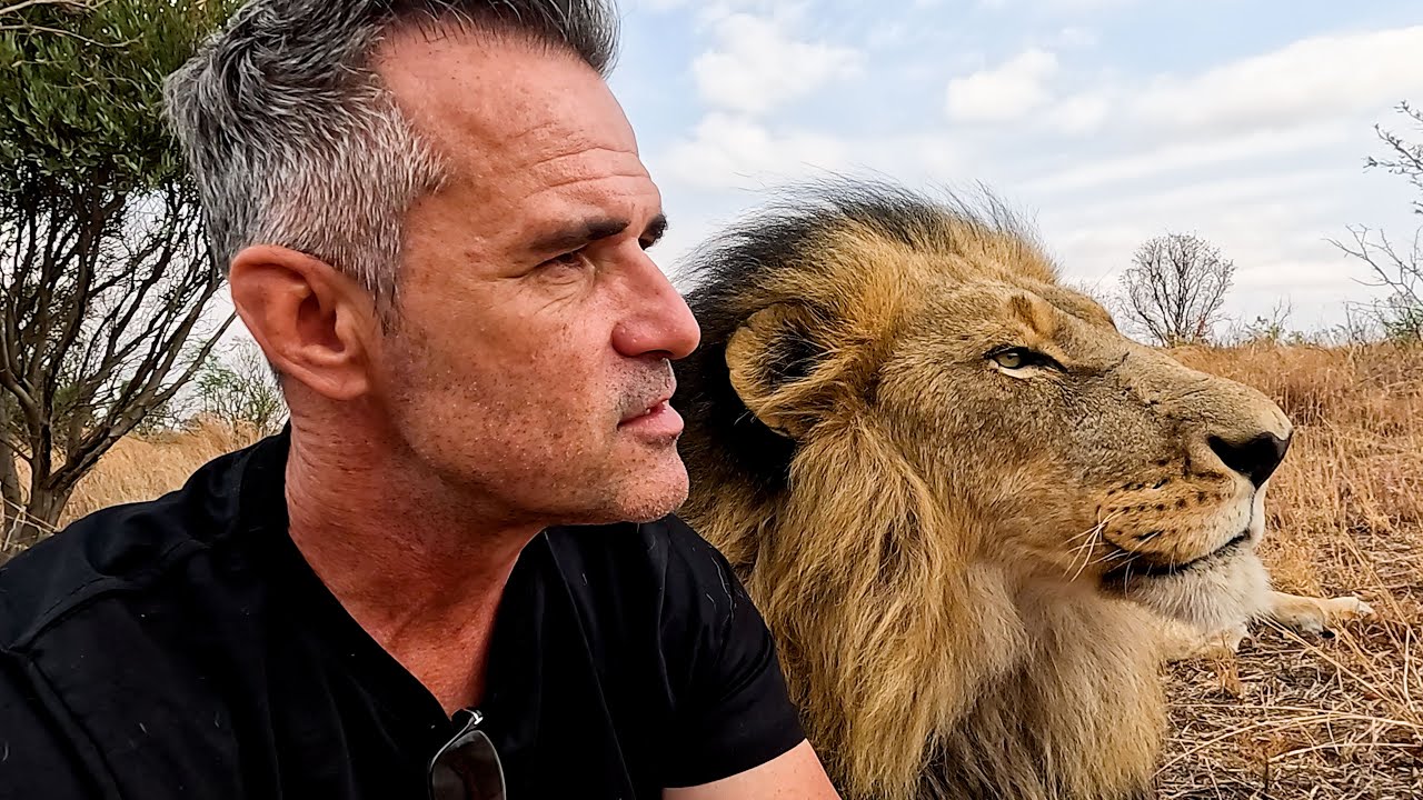 My Time is Limited with My LION FRIENDS | The Lion Whisperer - YouTube
