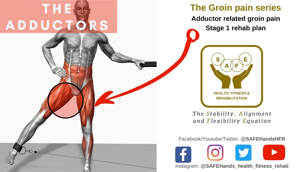 How to start fixing your groin pain! The what and how of adductor ...
