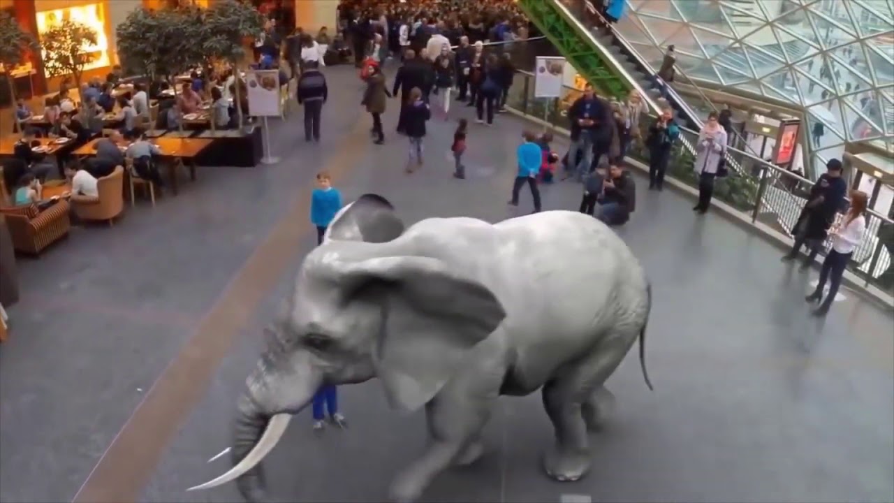 Unbelievable Futuristic Technology 7D hologram Shown in Dubai, Poland ...