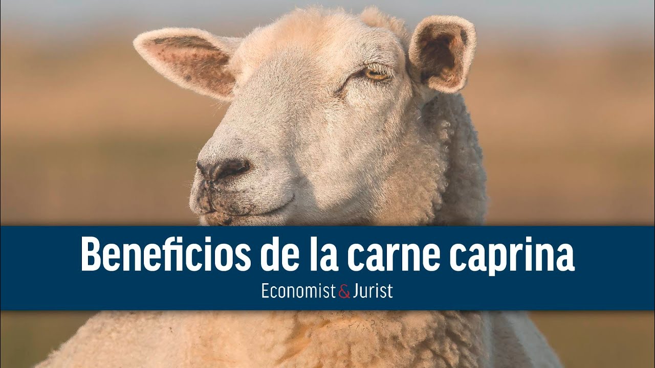 Beneficios de consumir carne caprina - YouTube