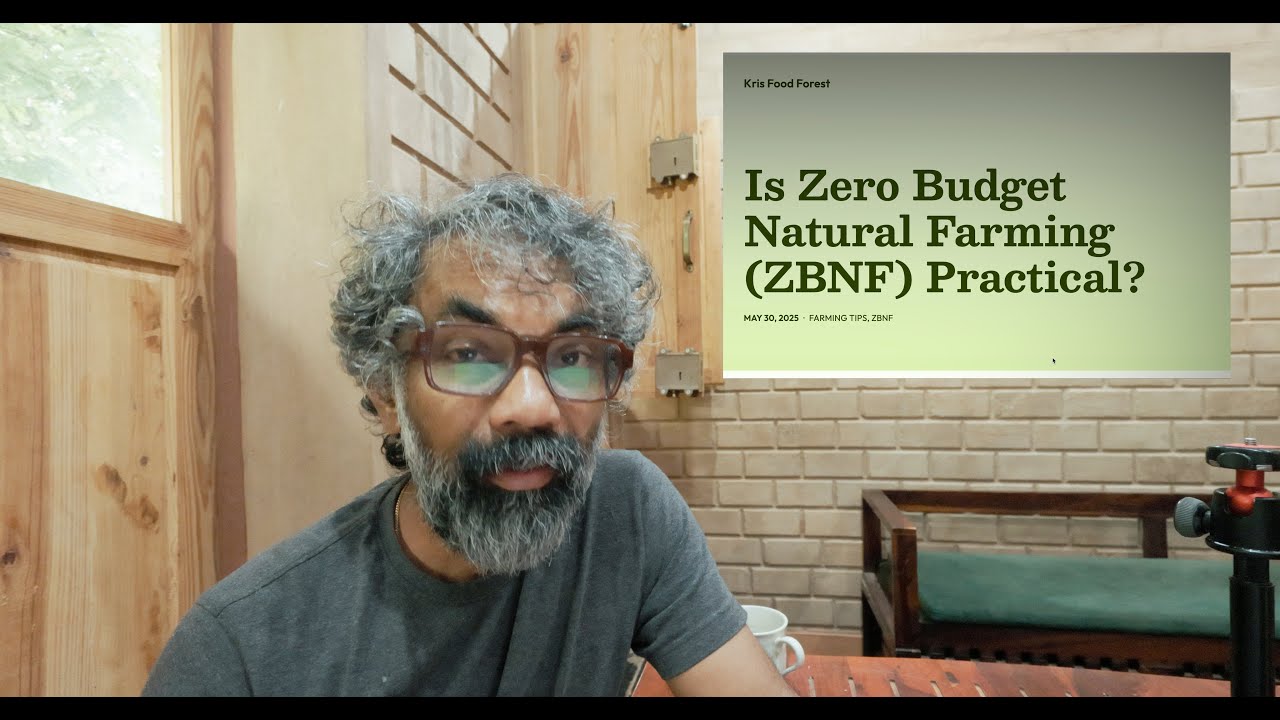 Is Zero Budget Natural Farming (ZBNF) Practical? | Real Challenges ...