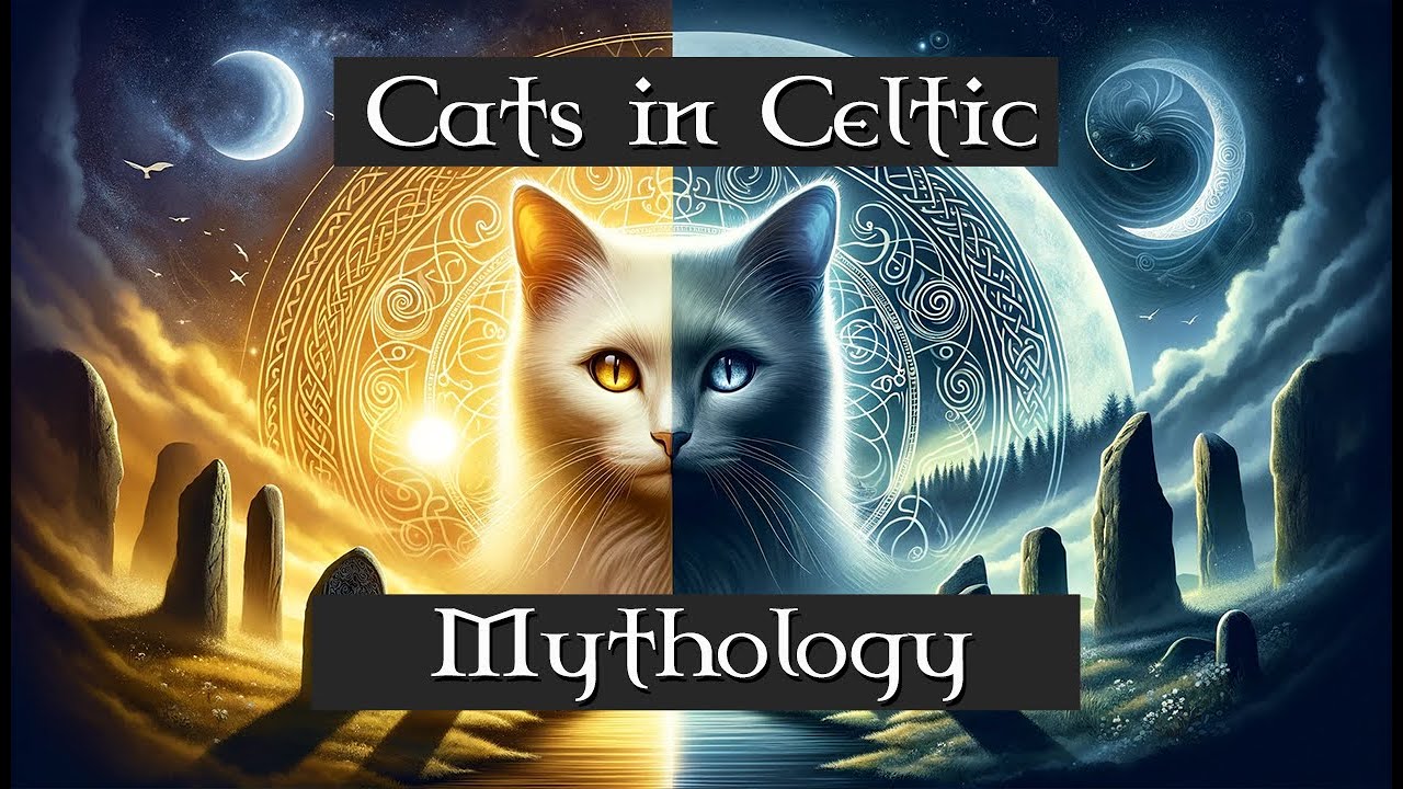 Cat Stories: Unveiling the Mystery between Cats and Celtic Mythology ...