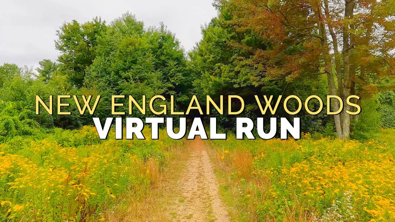 Virtual Run - Trail Run through New England Woods on the Central ...