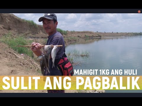 Sulit ang Pagbalik - Maraming Huli