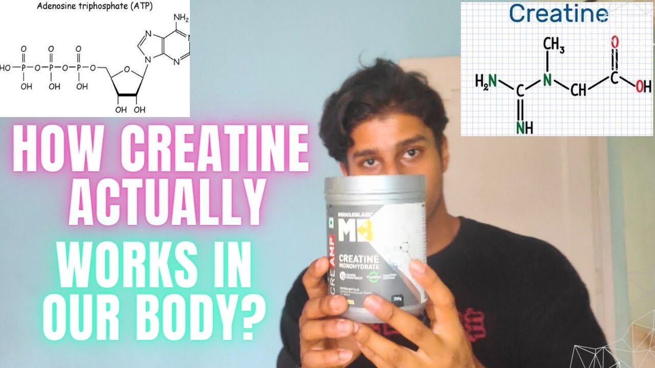 How creatine actually works in our body📈 Part -1, Explained ...