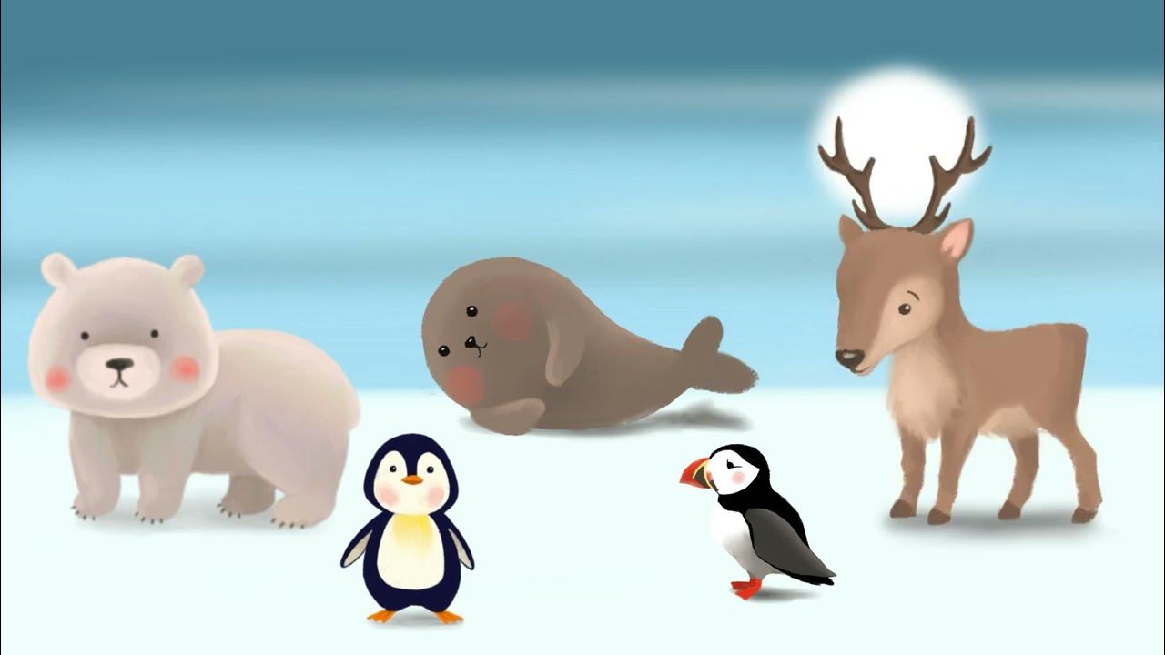 ARCTIC ANIMALS FOR KIDS, cartoon, penguin, polar bear, seal, puffin ...