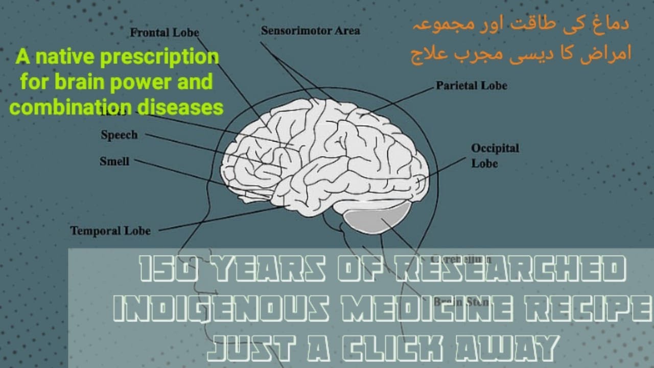 dimaghi bimari ka ilaj||treatment of mental diseases - YouTube