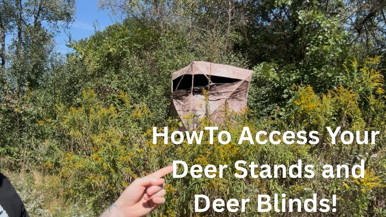 How to Access Deer Stands and Deer Blinds Effectively Without Spooking ...
