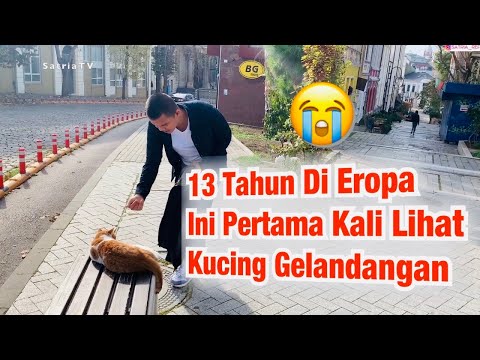 Heran Banyak Kucing Gelandang Disini | Masuk Toko Sex Di Usir | Bulgaria | Part 1