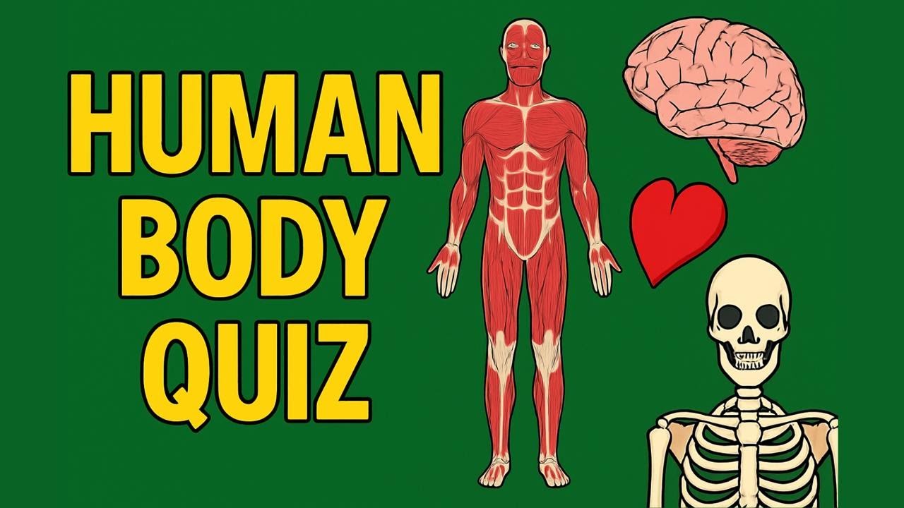 Human Body Quiz | Test Your Knowledge of Organs, Bones, and More! 🧠💪 ...