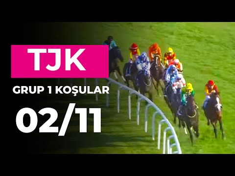 Cumhurbaşkanlığı Koşusu (Grup - 1) 02/11/2024