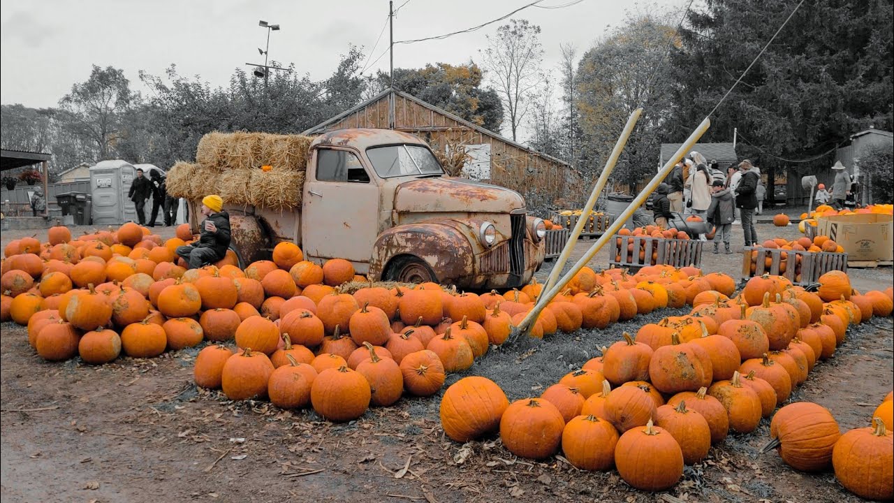 Exploring Howells Farm | A Canadian Fall Adventure | A Day at Howells ...