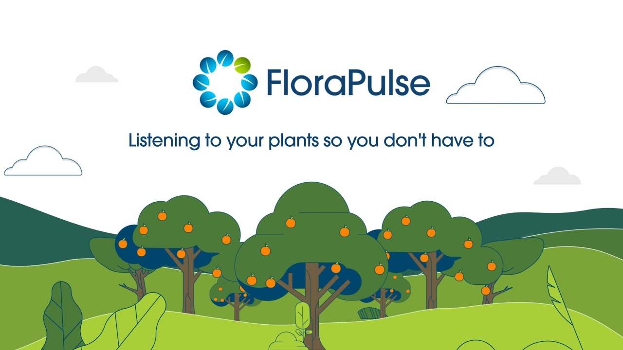 What is FloraPulse? - YouTube