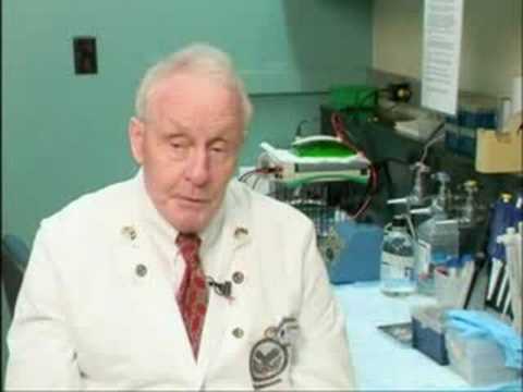 David Vesely MD., PhD - YouTube