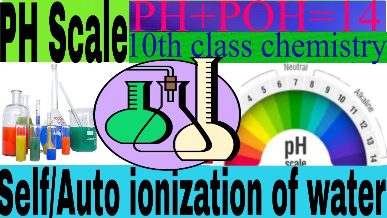 pH Scale|Auto ionization of water| self ionization of water|pH+pOH=14|10th class chemistry ...