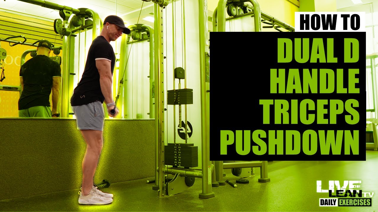 How To: Standing Dual D Handle Cable Triceps Pushdown - YouTube