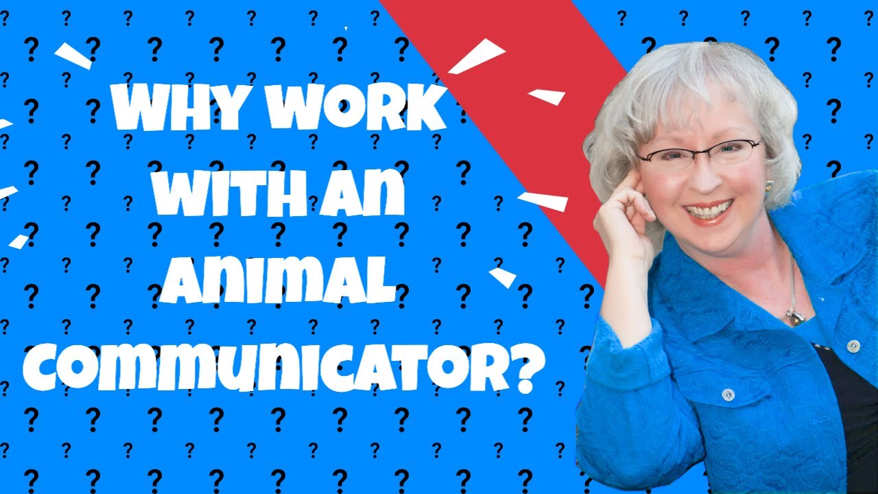 Val Heart Animal Talk - Why work with an Animal Communicator? - YouTube