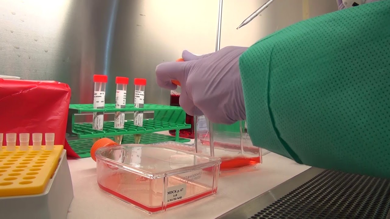 CDPH: Richmond Lab - YouTube