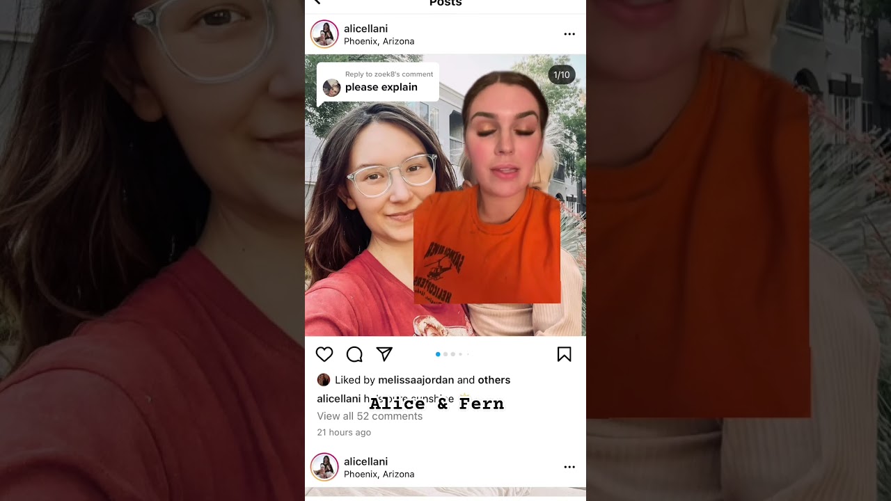 How do we feel about Alice + Fern from TikTok! #shortsvideo # ...