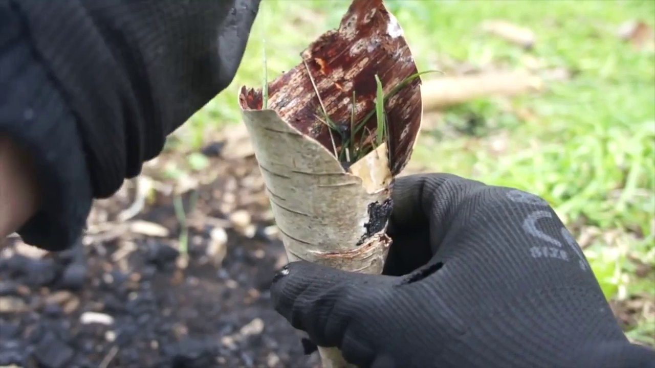 How to make the primitive water filter? - YouTube