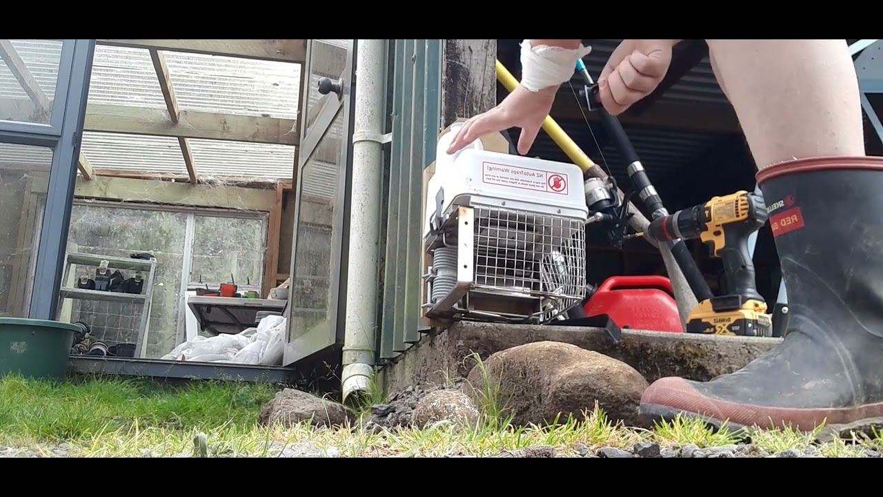 how to set up your Auto trap - YouTube