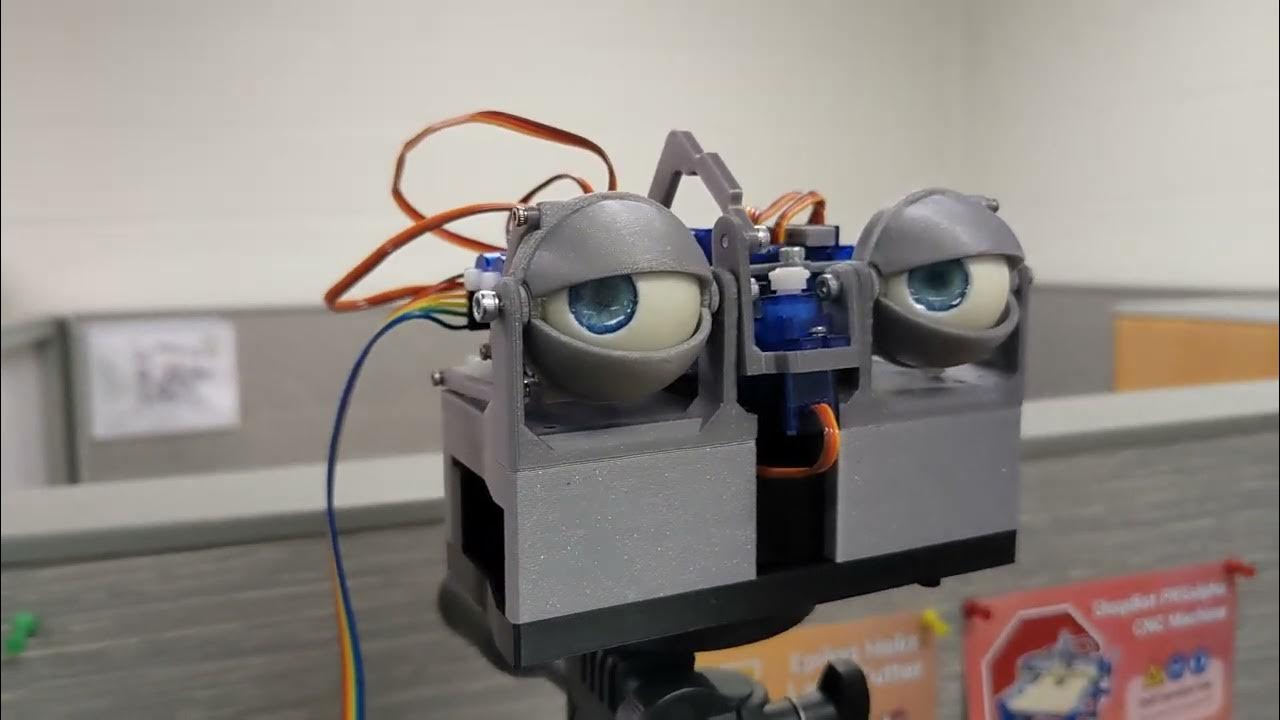 First Movements | Cogley's Animatronic Eyes [test] - YouTube