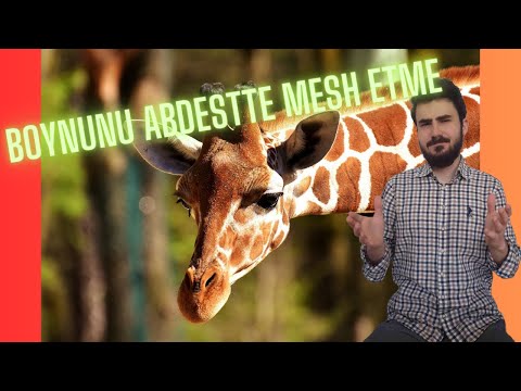 🤨 Abdestte BOYNUNU MESH ETME. Peygamberimiz BÖYLE YAPMAZDI | Tahir Hoca
