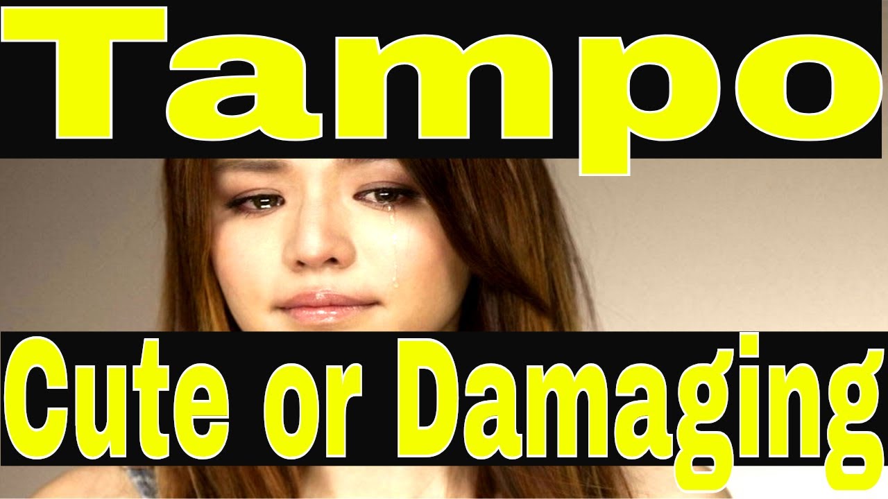 HOW TO DEAL WITH TAMPO - CUTE OR DAMAGING - YouTube
