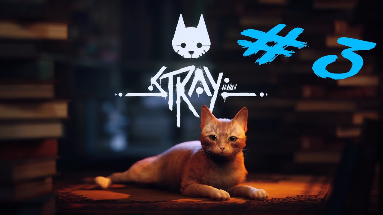 Stray #3 - YouTube