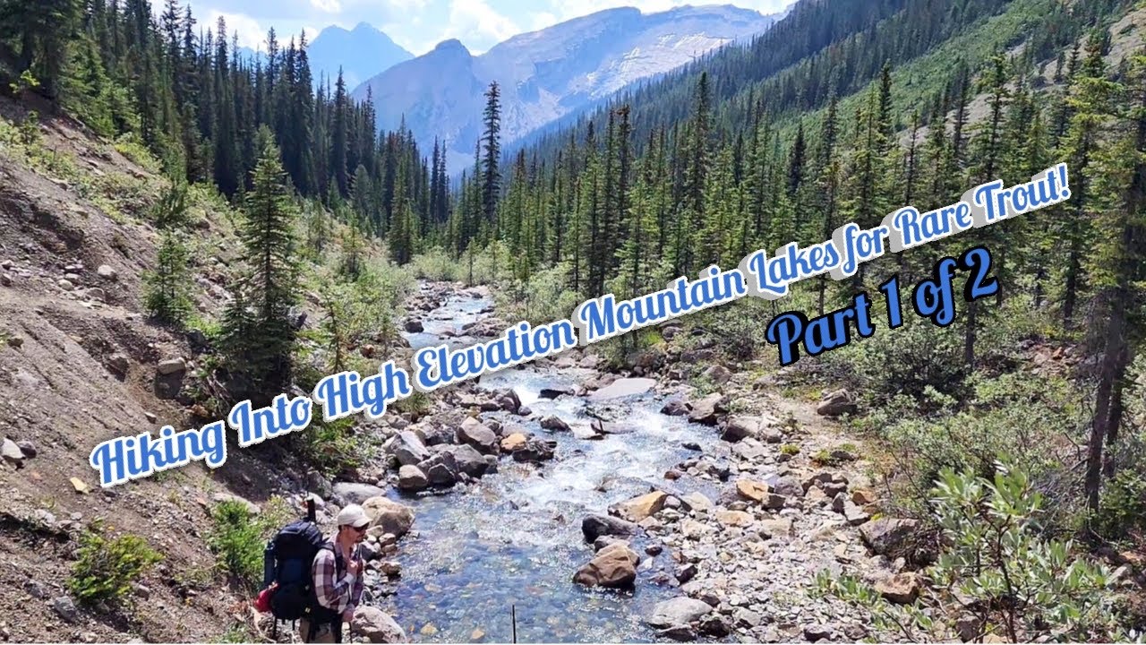 Hiking into High Elevation Rare Trout Territory! - YouTube