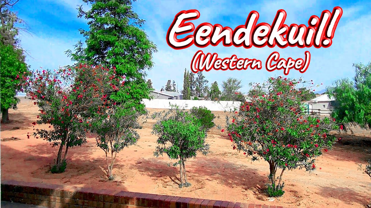 Eendekuil, Western Cape! Ep 493 - YouTube