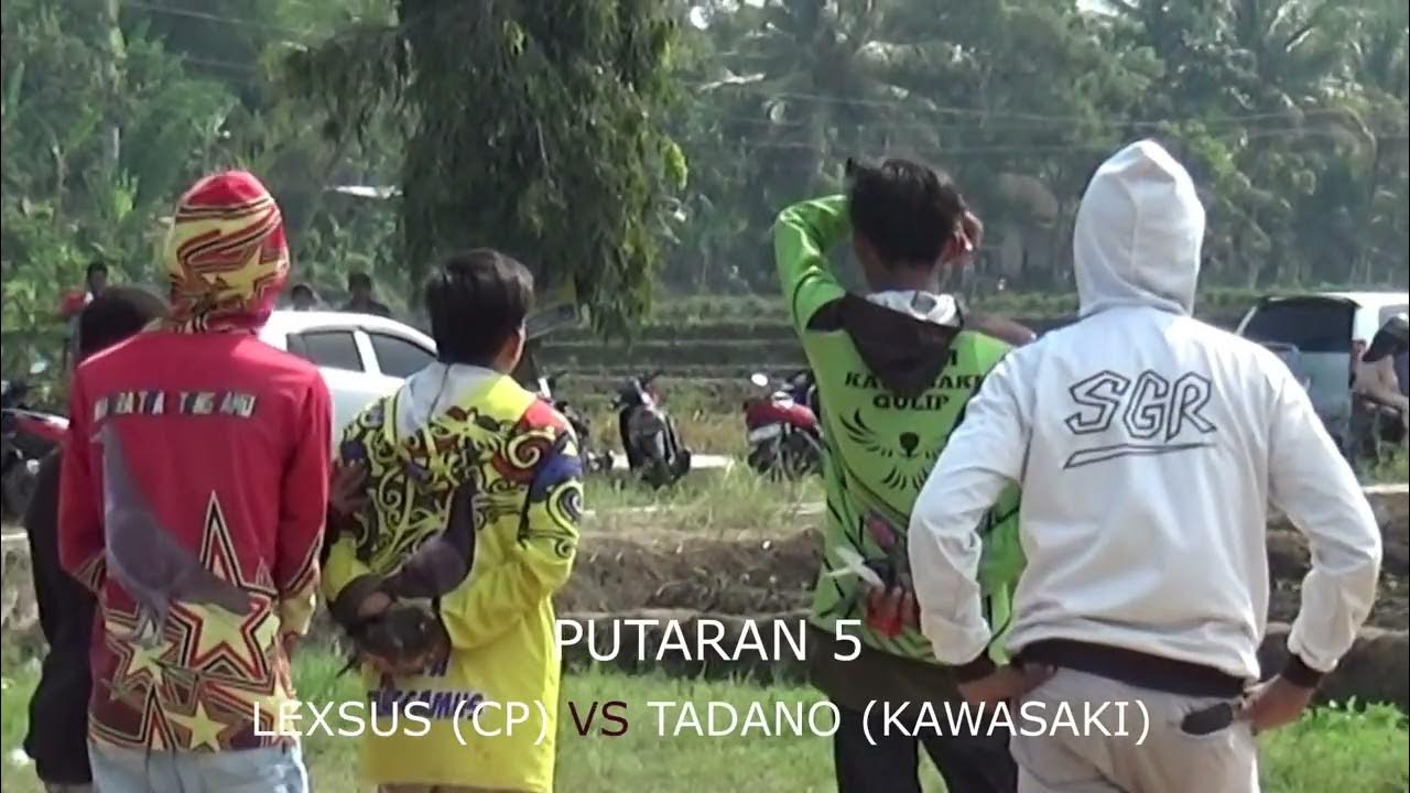 Spesial Edition Lexsus team family fc/cp - YouTube