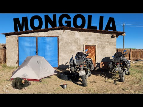 MOĞOLİSTAN’DA -10 DERECEDE FARELERLE KAMP #55