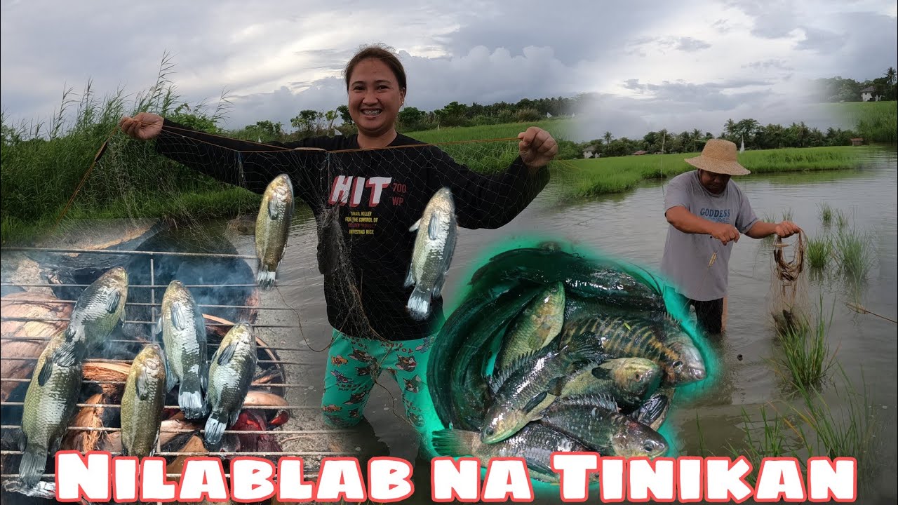 Nilablab na tinikan huli sa panti/ Namandaw Ng Panti sa palayanan Vlog ...
