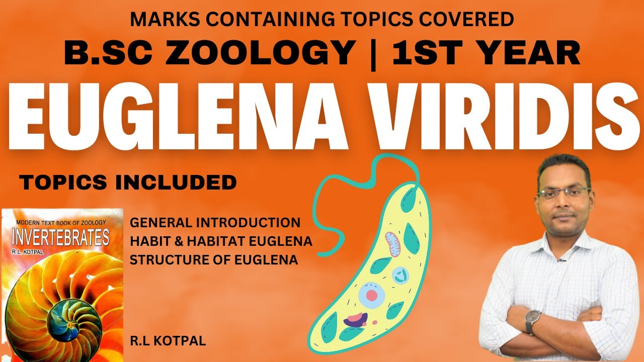 B.Sc Zoology | Ch-2 | EUGLENA VIRIDIS | R.L Kotpal - YouTube