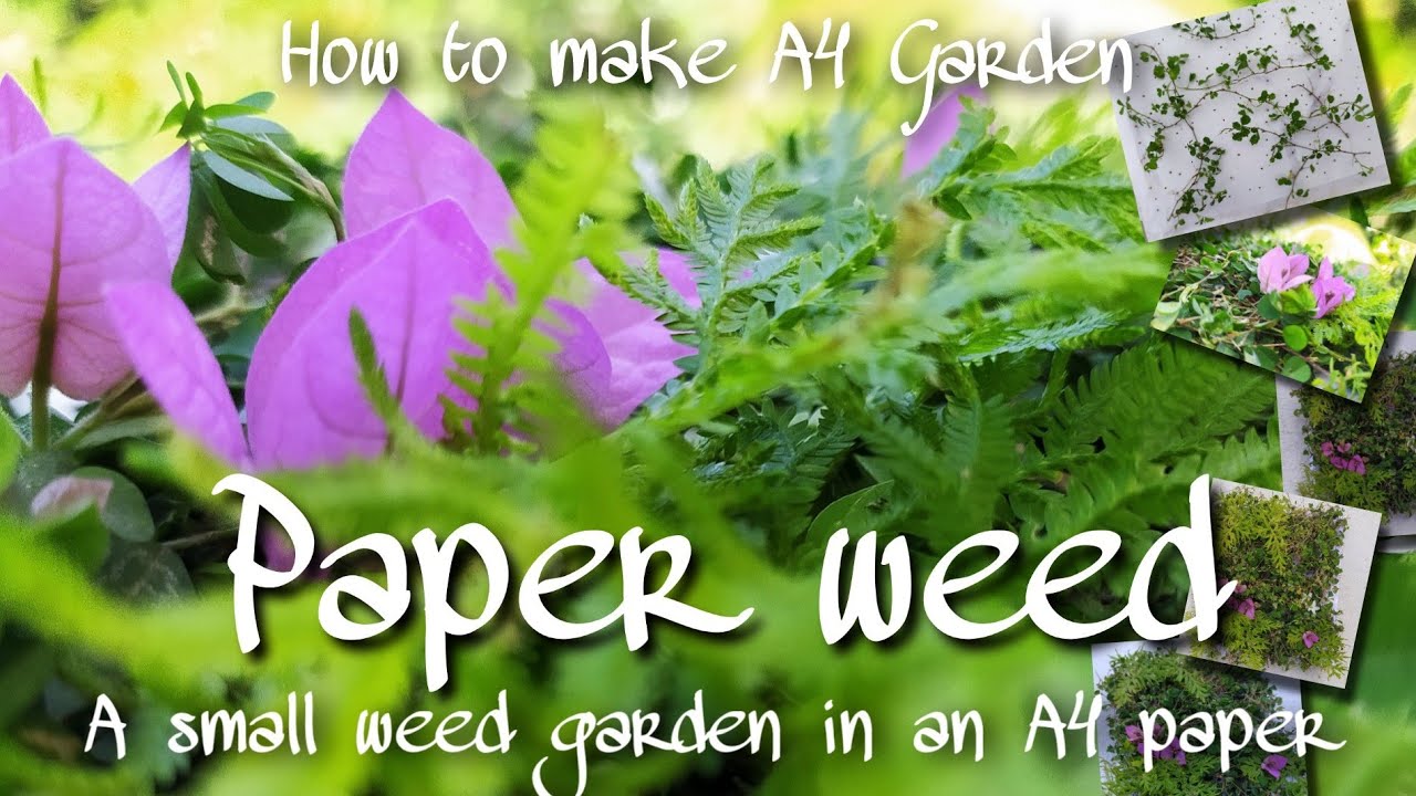 How To Make A4 WEED GARDEN | Paper Weed | Y Creations - YouTube