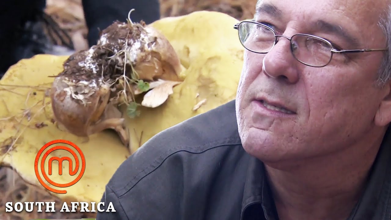 How to Forage Edible Mushrooms | MasterChef South Africa | MasterChef ...