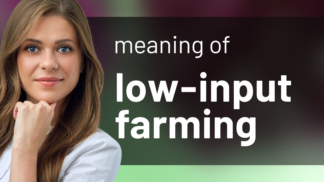 Low-Input Farming: A Sustainable Approach to Agriculture - YouTube