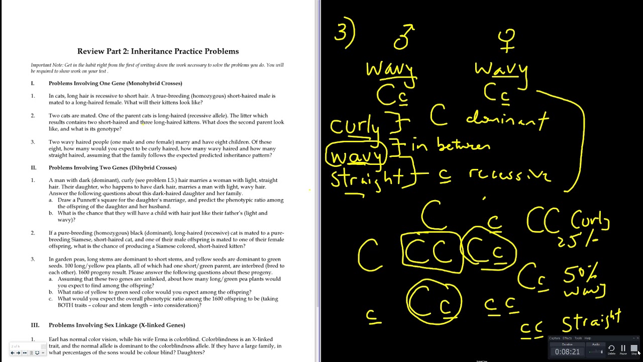Biology - Genetics Unit Review - YouTube