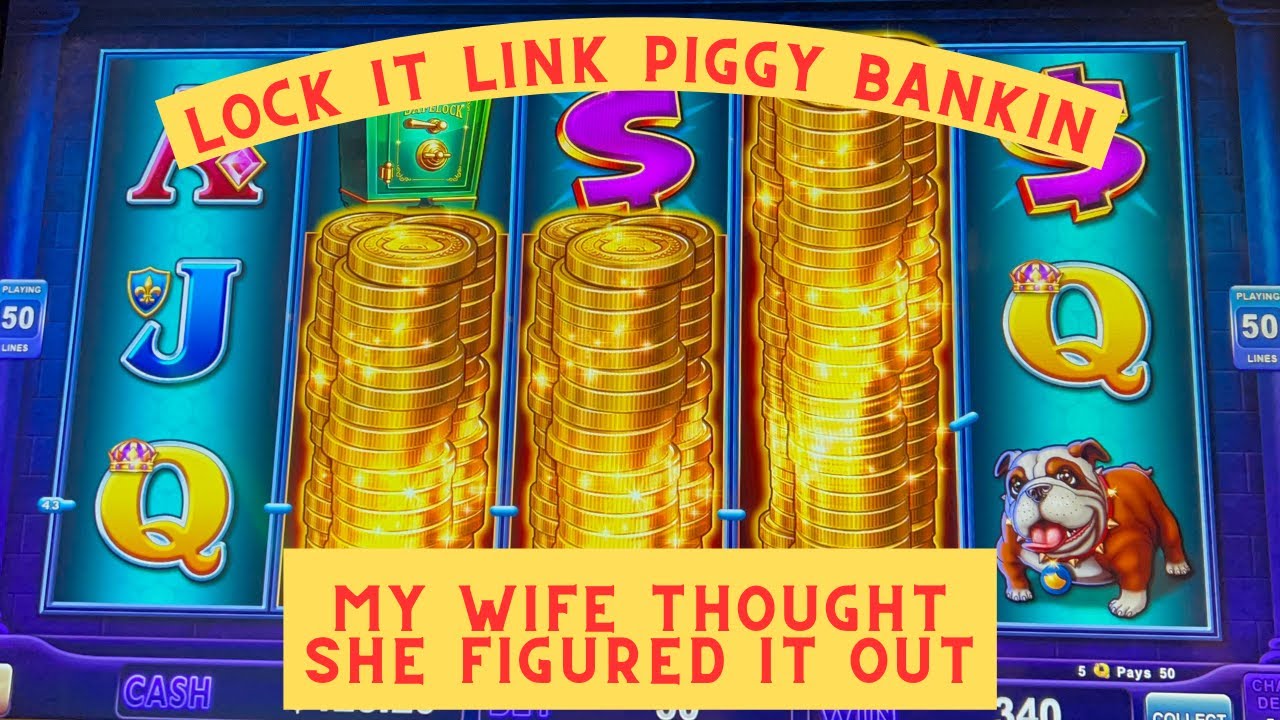 The pigs were being pigs today | Piggy Bankin Lock it Link | Super Star ...